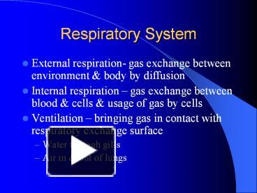 PPT – Respiratory System PowerPoint presentation | free to view - id ...