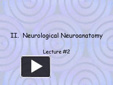 PPT – II. Neurological Neuroanatomy PowerPoint presentation | free to ...