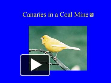 Canaries in a Coal Mine presentation | free to view