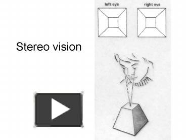 Stereo vision presentation | free to view