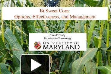 Bt Sweet Corn: presentation | free to view