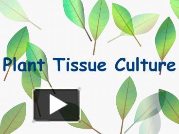 Plant Tissue Culture presentation | free to download