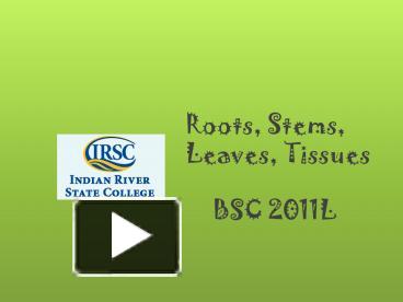 PPT – Roots, Stems, Leaves, Tissues BSC 2011L Review of difference ...