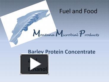 Barley Protein Concentrate presentation | free to view