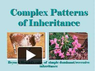 PPT – Complex Patterns of Inheritance PowerPoint presentation | free to ...