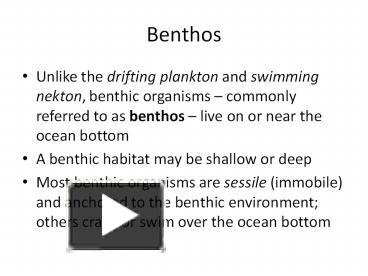 PPT – Benthos PowerPoint presentation | free to view - id: 3e03d0-NmMwO