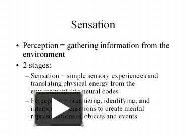 PPT – Sensation PowerPoint presentation | free to download - id: 3e0de1 ...