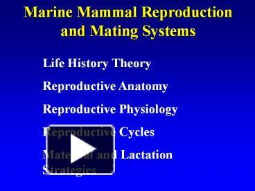 Marine Mammal Reproduction and Mating Systems presentation | free to view