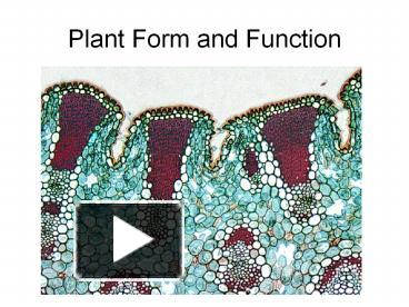Plant Form and Function presentation | free to view