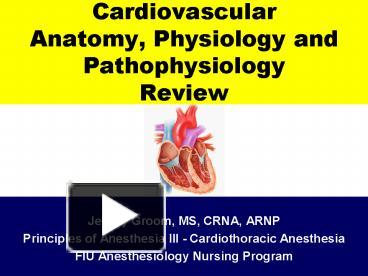 Cardiovascular Anatomy, Physiology and Pathophysiology Review ...