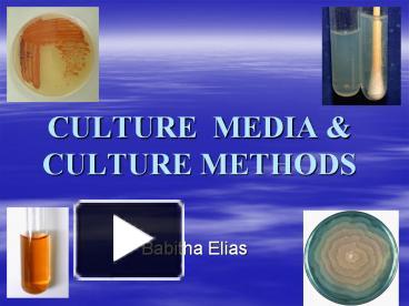 CULTURE MEDIA presentation | free to download