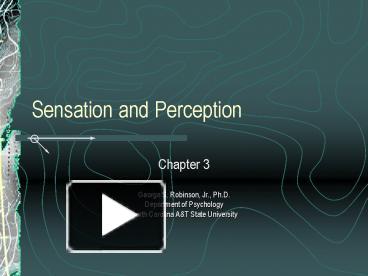 PPT – Sensation and Perception PowerPoint presentation | free to view ...