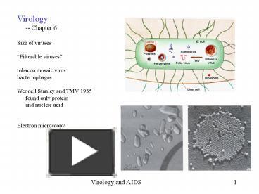 PPT – Virology PowerPoint presentation | free to view - id: 3eb8c7-ZTdhN