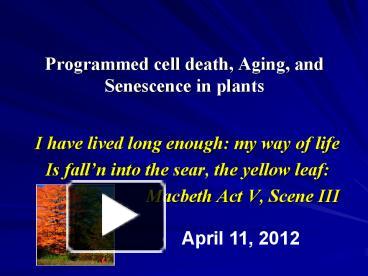 Programmed cell death, Aging, and Senescence in plants presentation ...