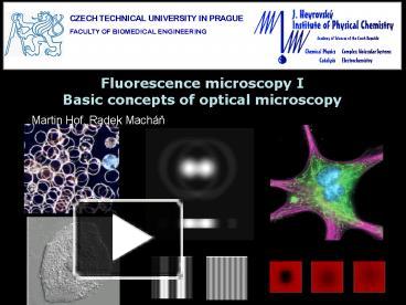 Fluorescence microscopy I Basic concepts of optical microscopy ...