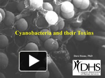 Cyanobacteria and their Toxins presentation | free to view