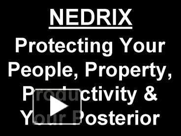 NEDRIX presentation | free to download