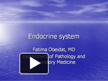PPT – Endocrine system PowerPoint presentation | free to download - id ...