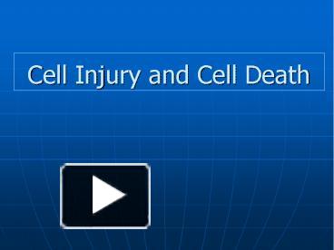 PPT – Cell Injury and Cell Death PowerPoint presentation | free to ...