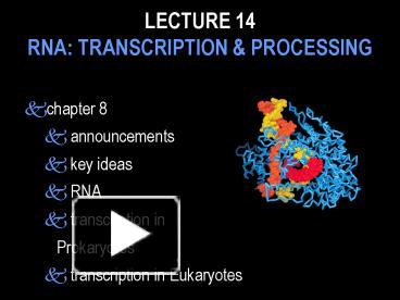 PPT – LECTURE 14 RNA: TRANSCRIPTION PowerPoint presentation | free to ...