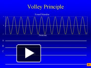Volley Principle presentation | free to download