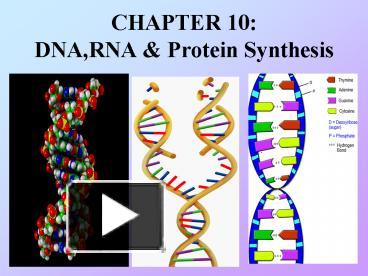 CHAPTER 10: DNA,RNA presentation | free to view