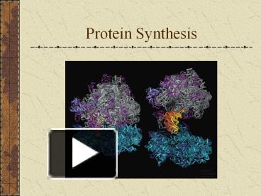 Protein Synthesis presentation | free to download