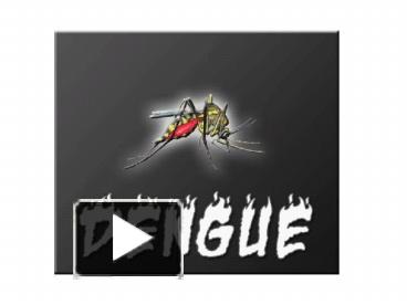 PPT – Aedes aegypti, the mosquito that spreads Dengue fever. PowerPoint ...