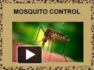 MOSQUITO CONTROL presentation | free to download