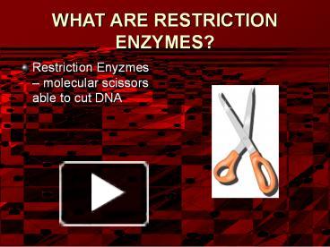 WHAT ARE RESTRICTION ENZYMES? presentation | free to download