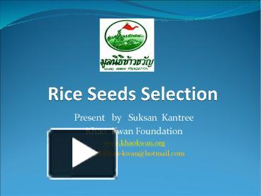 Rice Seeds Selection presentation | free to download