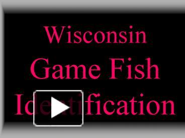 Wisconsin Game Fish Identification presentation | free to view