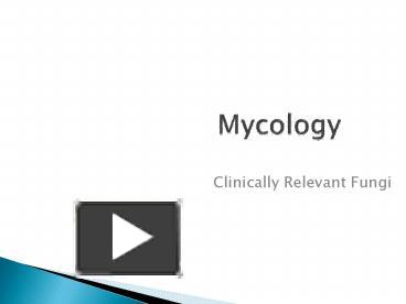 PPT – Mycology PowerPoint presentation | free to download - id: 40d749 ...