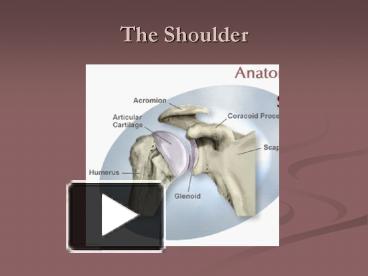 The Shoulder presentation | free to view