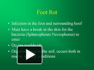 Foot Rot presentation | free to view