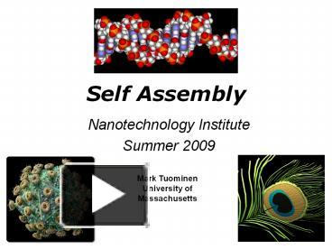 Self Assembly presentation | free to download