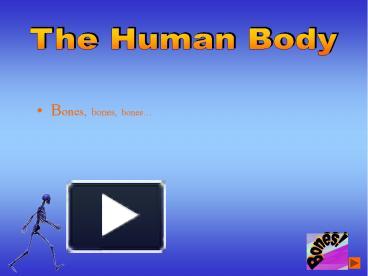 PPT – Bones, bones, bones PowerPoint presentation | free to view - id ...