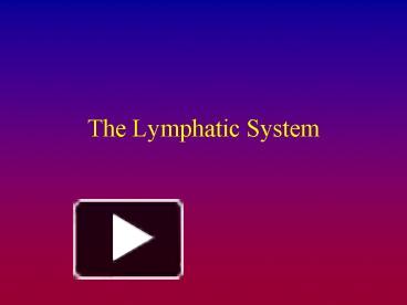 PPT – The Lymphatic System PowerPoint presentation | free to view - id ...