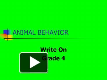 PPT – ANIMAL BEHAVIOR PowerPoint presentation | free to download - id ...