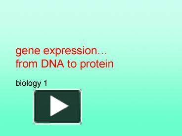 gene expression presentation | free to download