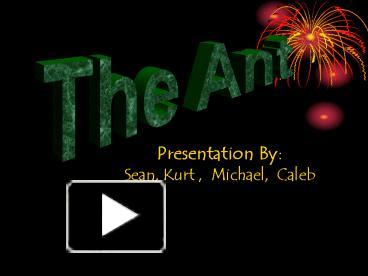 PPT – The Ant PowerPoint presentation | free to view - id: 41b00-OTdiO