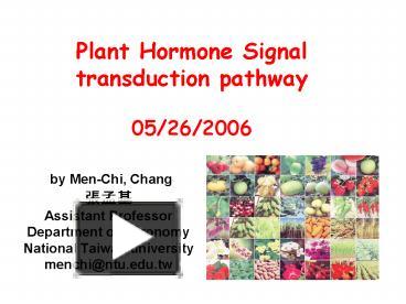 Plant Hormone Signal transduction pathway 05/26/2006 presentation ...