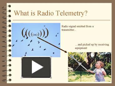What is Radio Telemetry presentation | free to view
