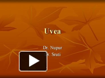 PPT – Uvea PowerPoint presentation | free to view - id: 41b7b8-ZjdjM