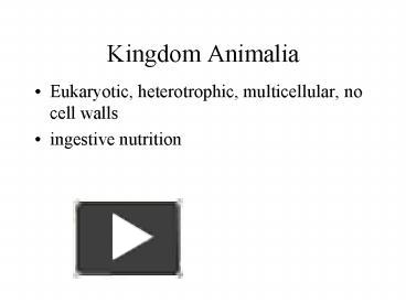 PPT – Kingdom Animalia PowerPoint presentation | free to view - id ...