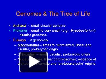 PPT – Genomes PowerPoint presentation | free to download - id: 41c922-ZTkwM