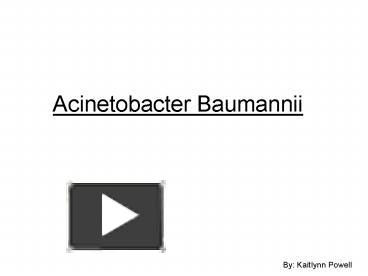 Acinetobacter Baumannii presentation | free to download