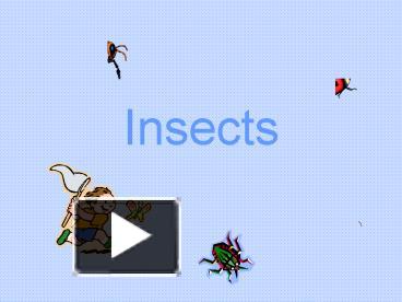 Insects presentation | free to view