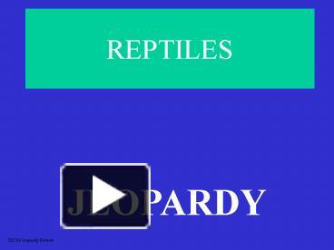 PPT – REPTILES PowerPoint presentation | free to download - id: 4262de ...