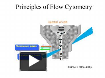 Principles of Flow Cytometry presentation | free to view
